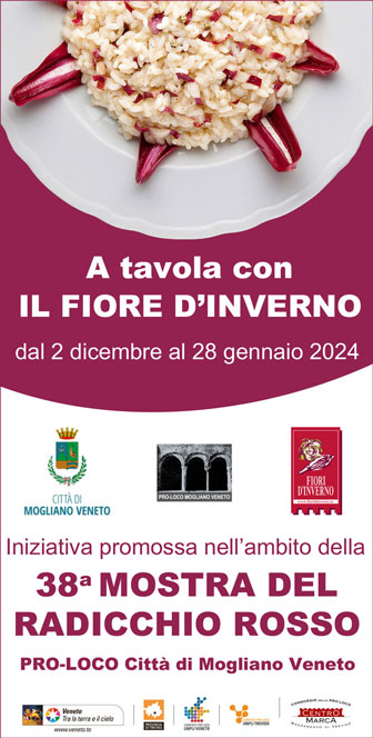 TREVISO EVENTI Calendario degli eventi a Treviso e provincia