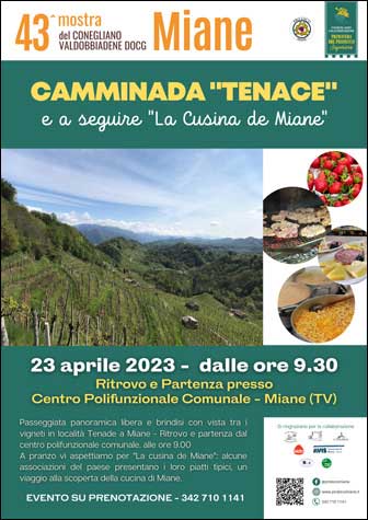 Miane 43ª Mstra del Conegliano Valdobbiadene DOCG Primavera del ...